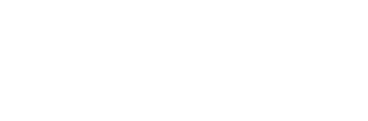 HOG Training - Ampco Flashlight